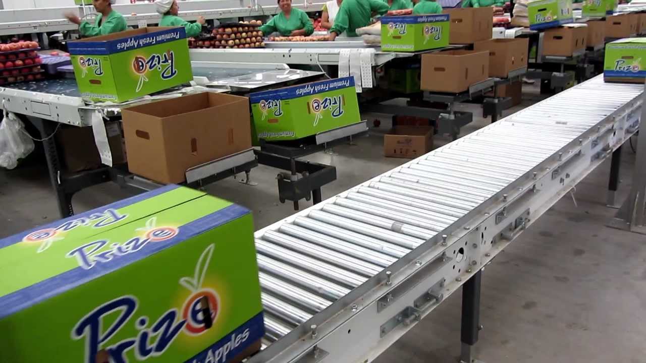 Packinglines Arauco S.A. - rieles de polines para cajas - YouTube
