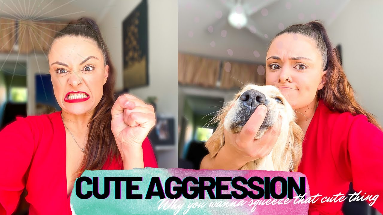 CUTE AGGRESSION // Why you wanna squeeze that cute thing - YouTube