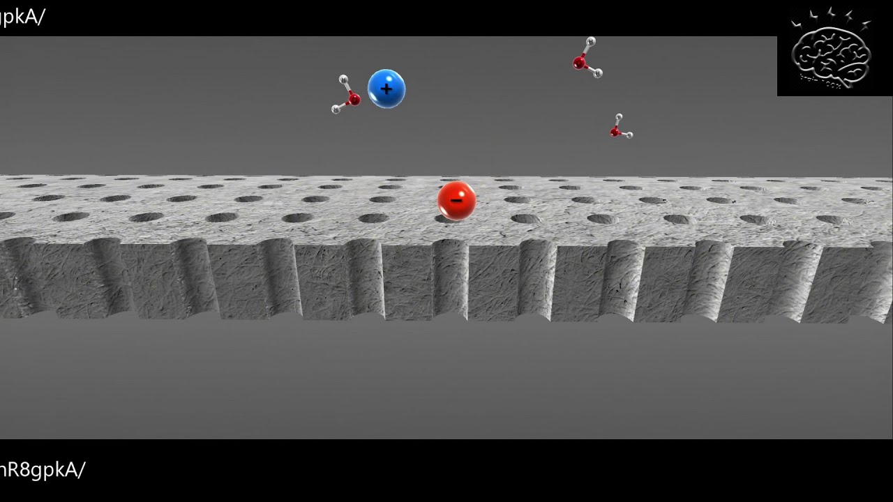 технология опреснения воды 3D-модель - YouTube