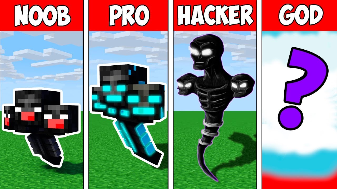 Minecraft NOOB vs PRO vs HACKER vs GOD : WITHER MONSTER EVOLUTION in ...