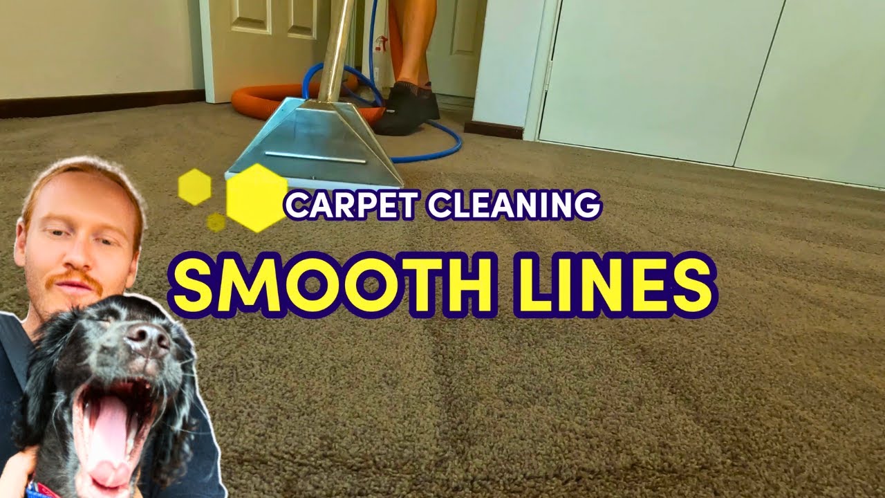 4K | 30 Mins | SATISFYING Carpet Cleaning SMOOTH LINES Therapy and ...