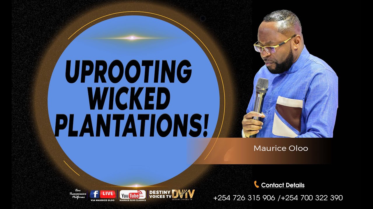 UPROOTING WICKED PLANTATIONS! - YouTube