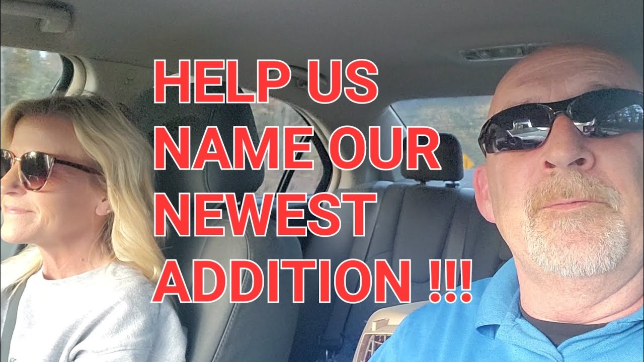 New addition to the family!! Please help us name him!!! - YouTube