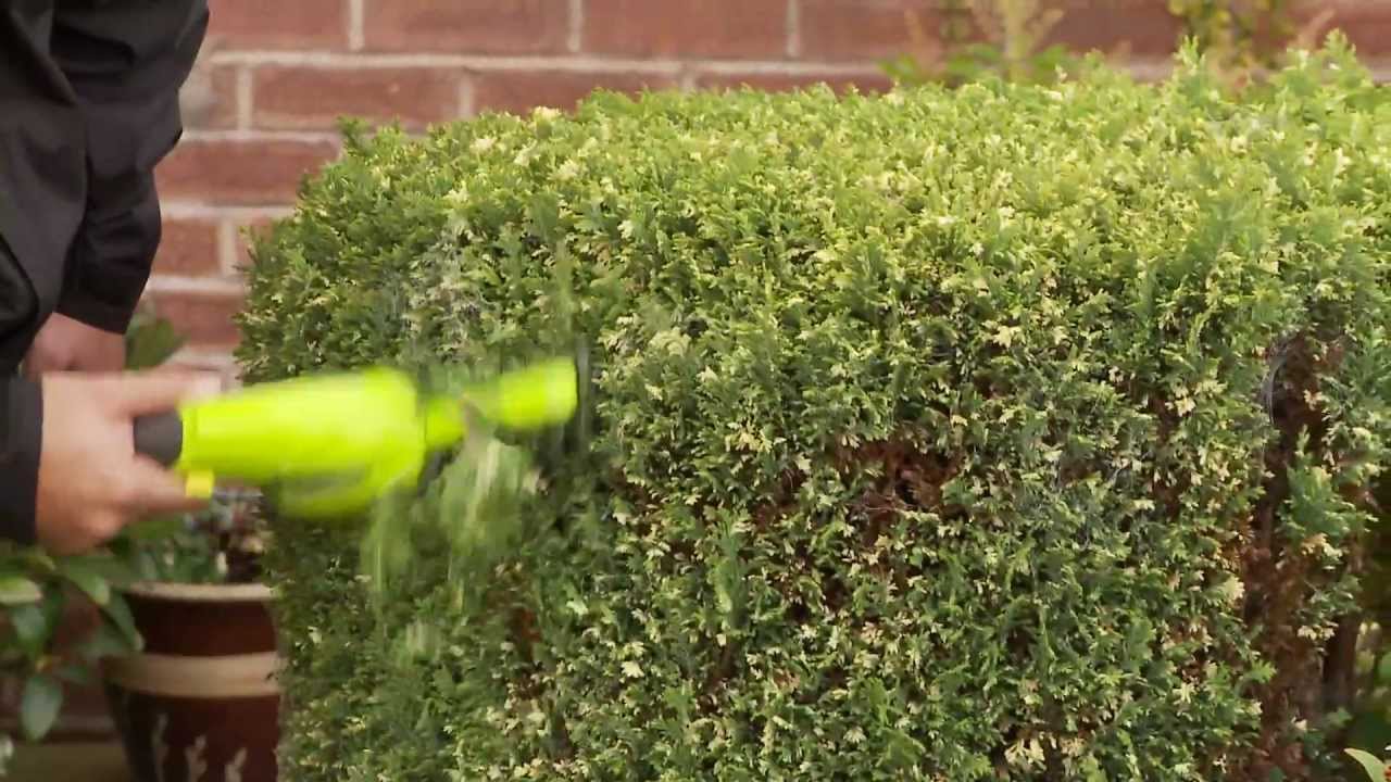 Hedge\Edge Trimming Shears - YouTube