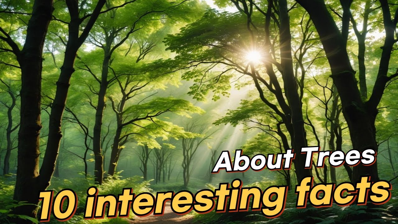 10 Interesting Facts About Trees | Real Facts | Amazing Facts | #facts ...