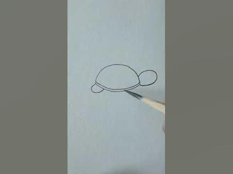 How To Drawing a Turtle - Easy Step by Step Drawing Tutorial - YouTube