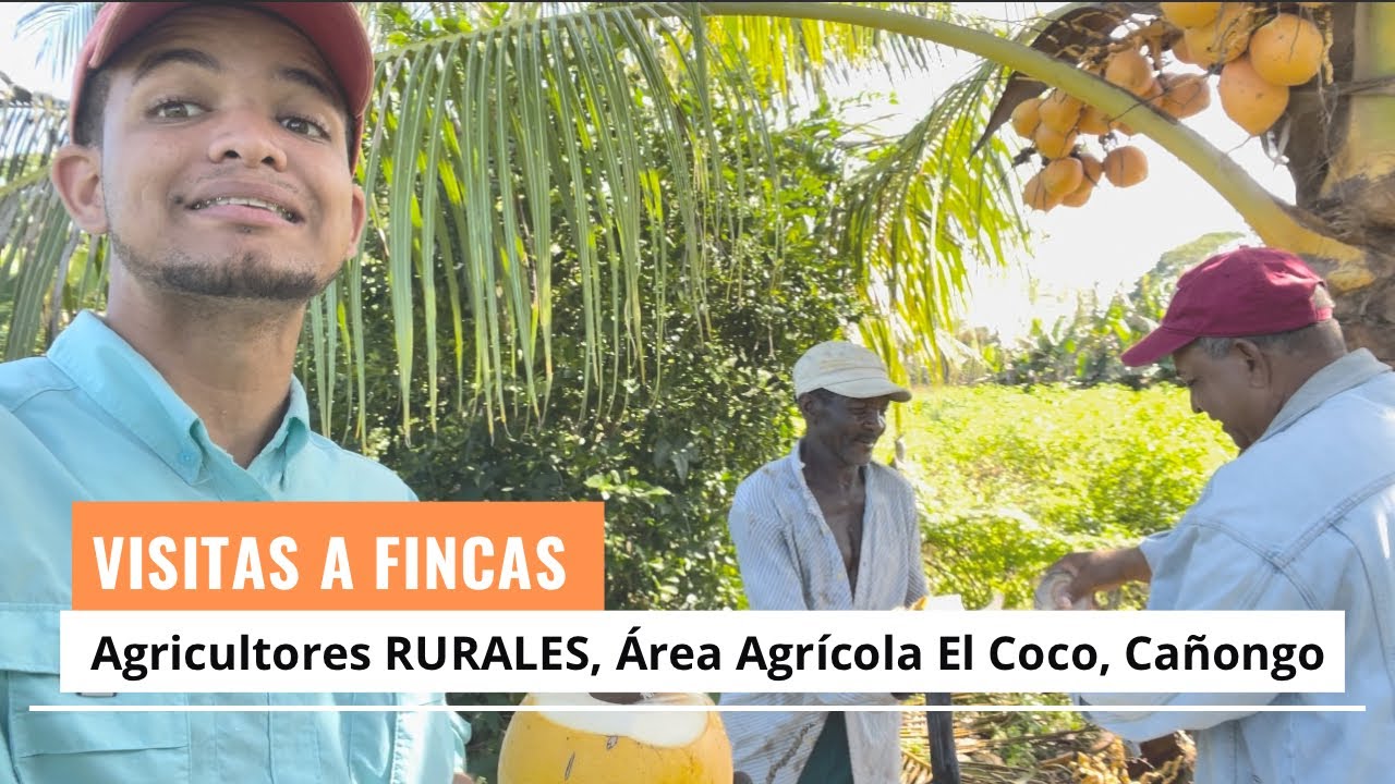 Asociacion de Cultivos o Conuco Haitiano??? - YouTube