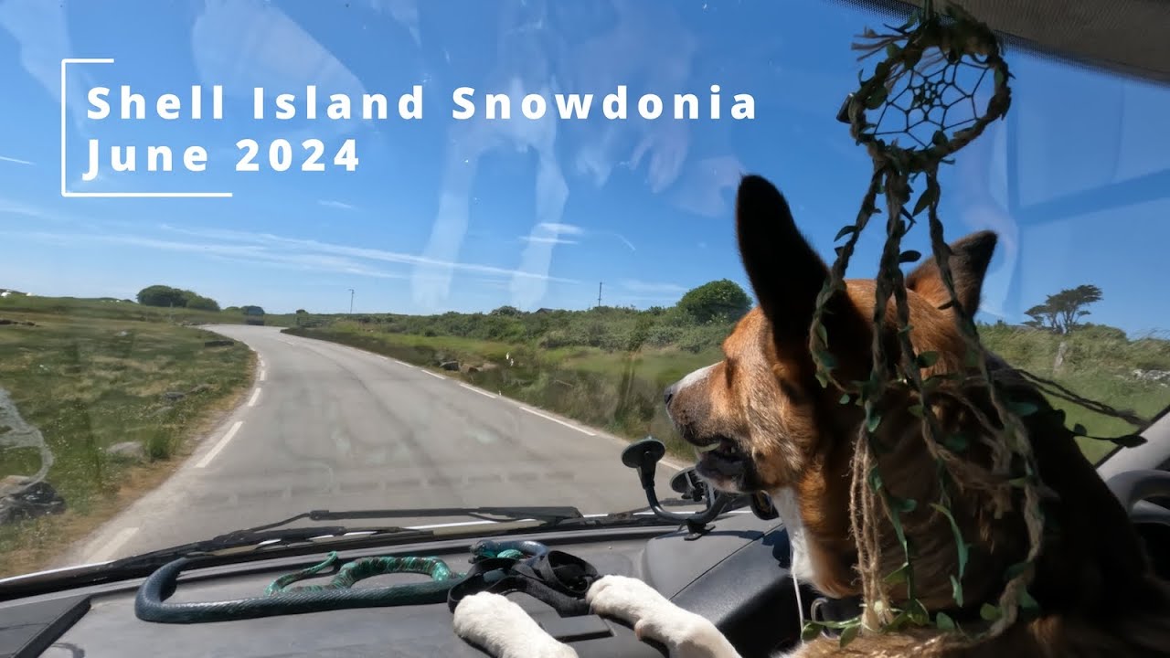 Pippin's Adventures Shell Island, Snowdonia, June 2024 - YouTube