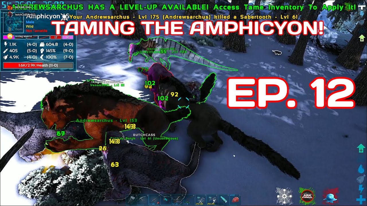 ARK PC: HOW TO TAME THE AMPHICYON FROM ADDITIONAL CREATURES 2 - EP. 12 - YouTube
