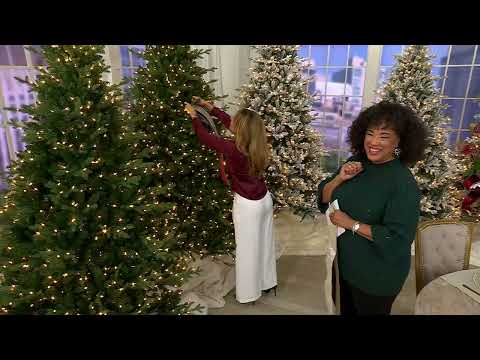 Simply Stunning Set of 10 Luxe Ribbon Wrap Set by Janine Graff on QVC ...