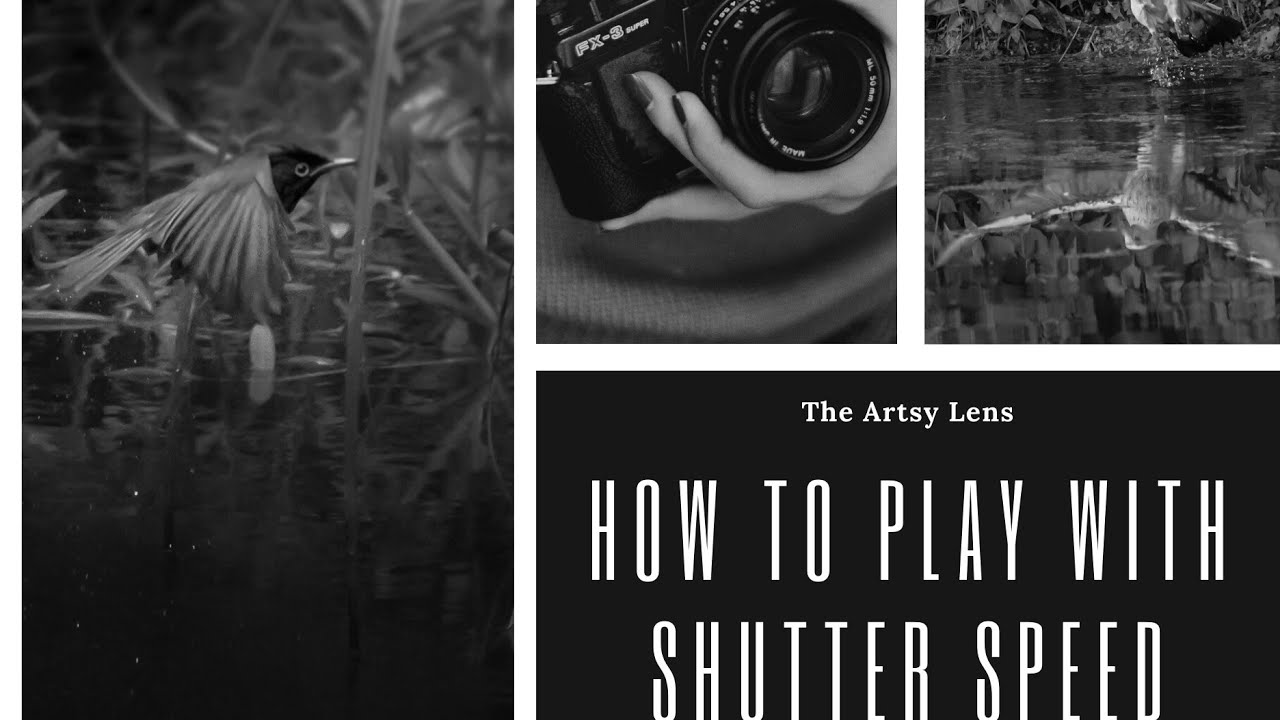 How to Play with Shutter Speed in Camera(Everything about Shutter and ...