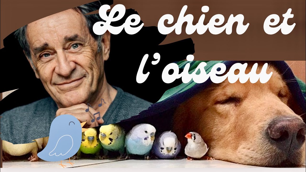 Le chien 🐶 et l'oiseau 🐥- Romain Didier - Interprétée par Marie Josèphe ...