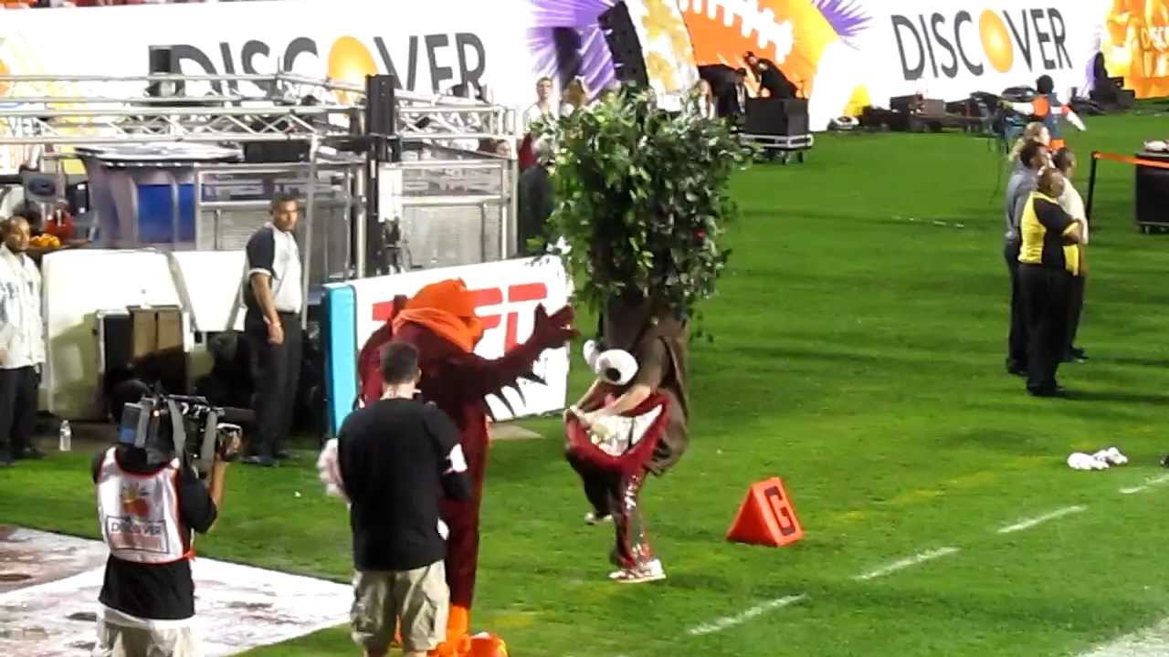 Stanford Tree breaks Hokie axe - 2011 Orange Bowl - YouTube