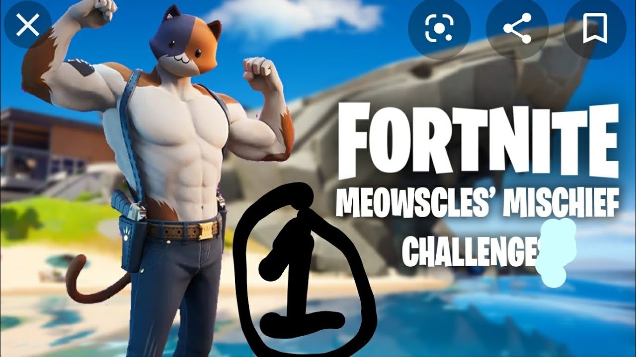 Easy way to do a Meowscles challenge (1)💪🐱 - YouTube