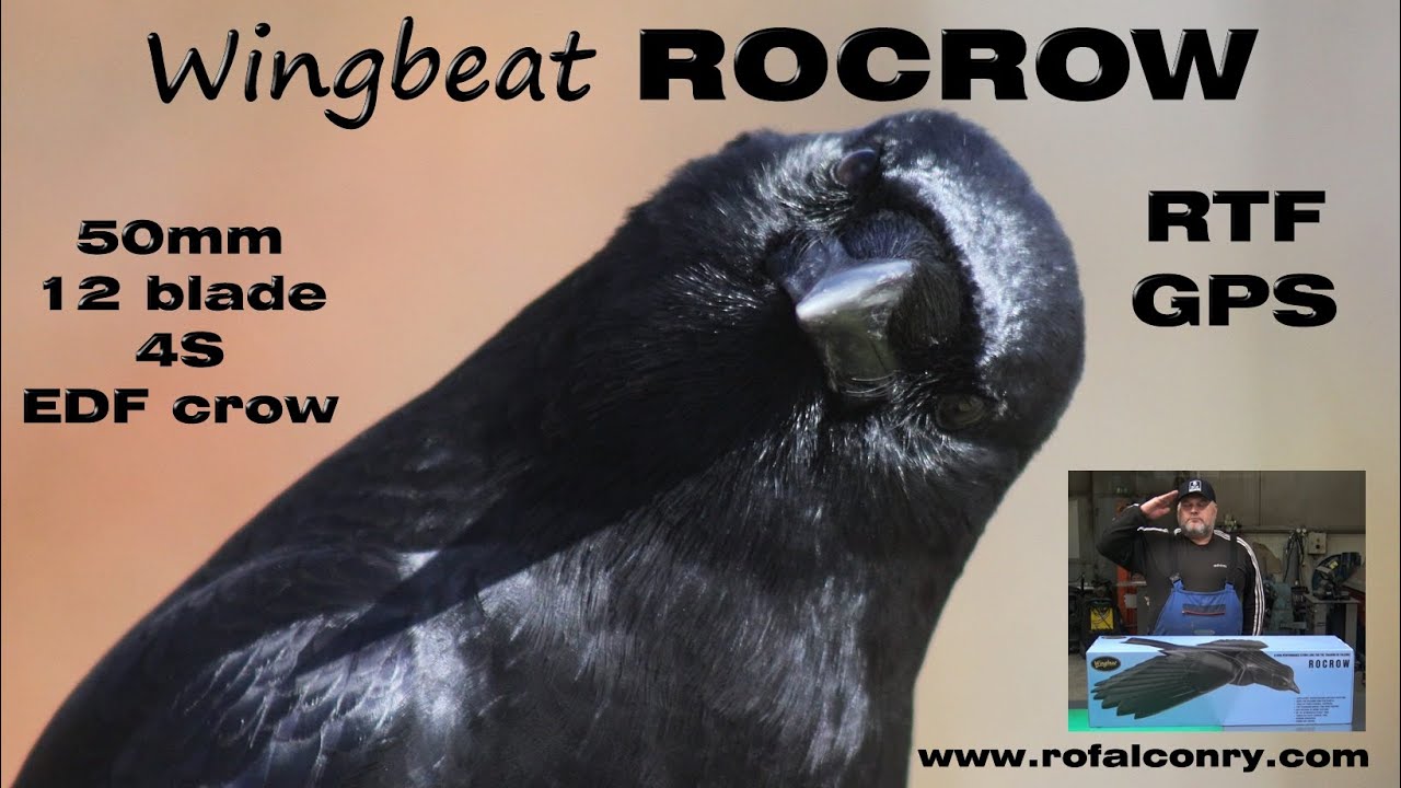 Wingbeat 50mm 10 blade EDF Crow 4S 930mm Rocrow Complete Set + GPS ...