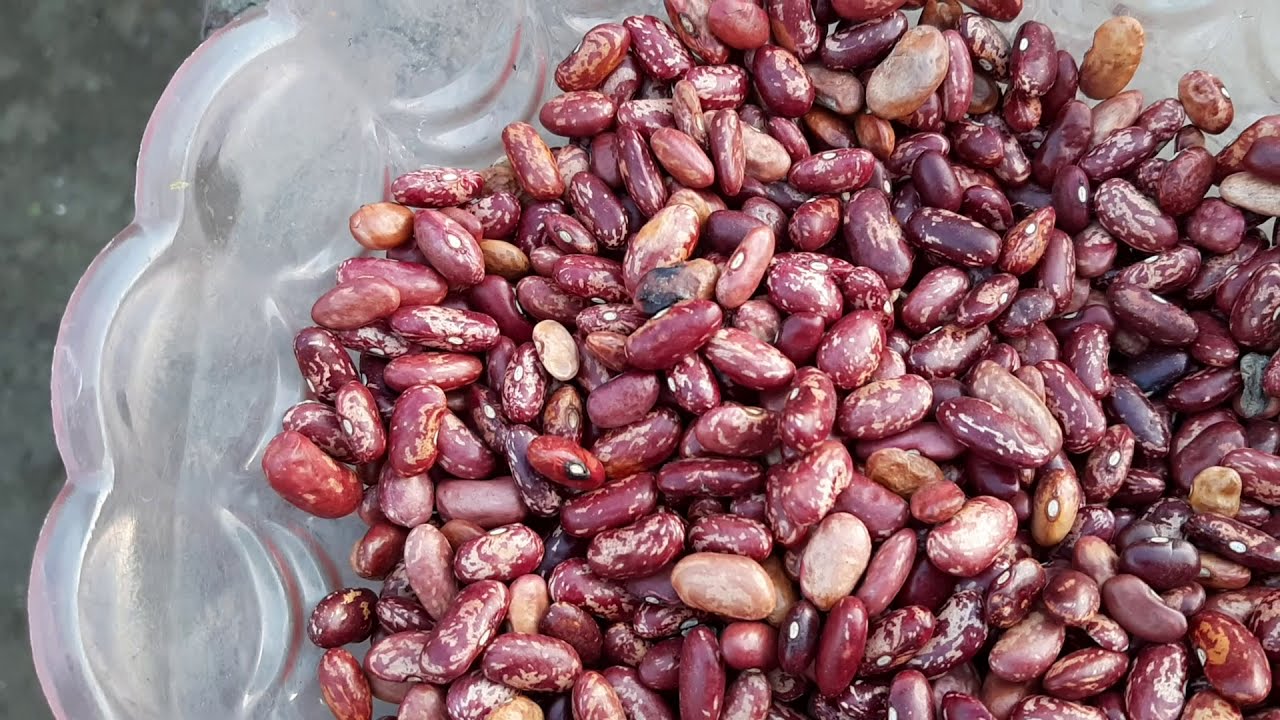 rad lobia recipe pakistani style | rajma recipe punjabi style | lal ...