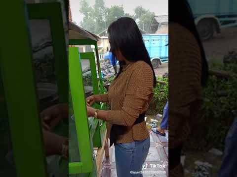 Penjual bakso cantik
