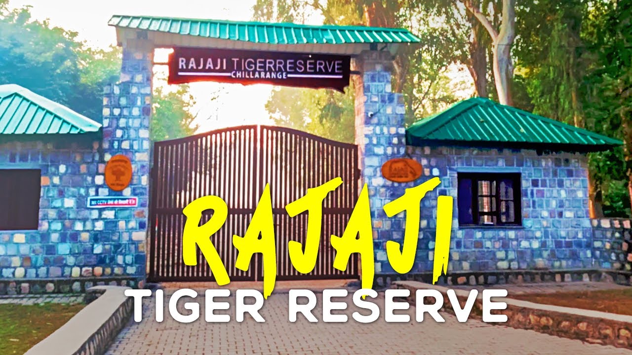 Rajaji Tiger Reserve Safari 2023, Uttarakhand (Rajaji National Park) 4K ...