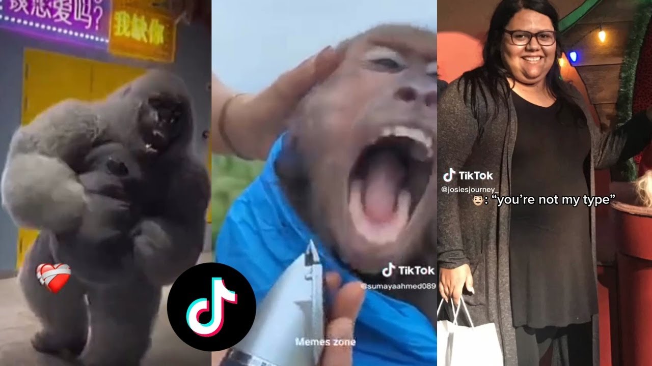 Best Glow Up Transformations - TikTok Compilation 2023 #1 - YouTube