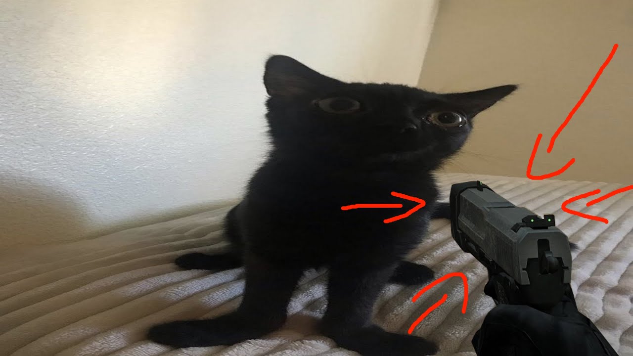 jinx the cat the bossfight THE REMAKE - YouTube