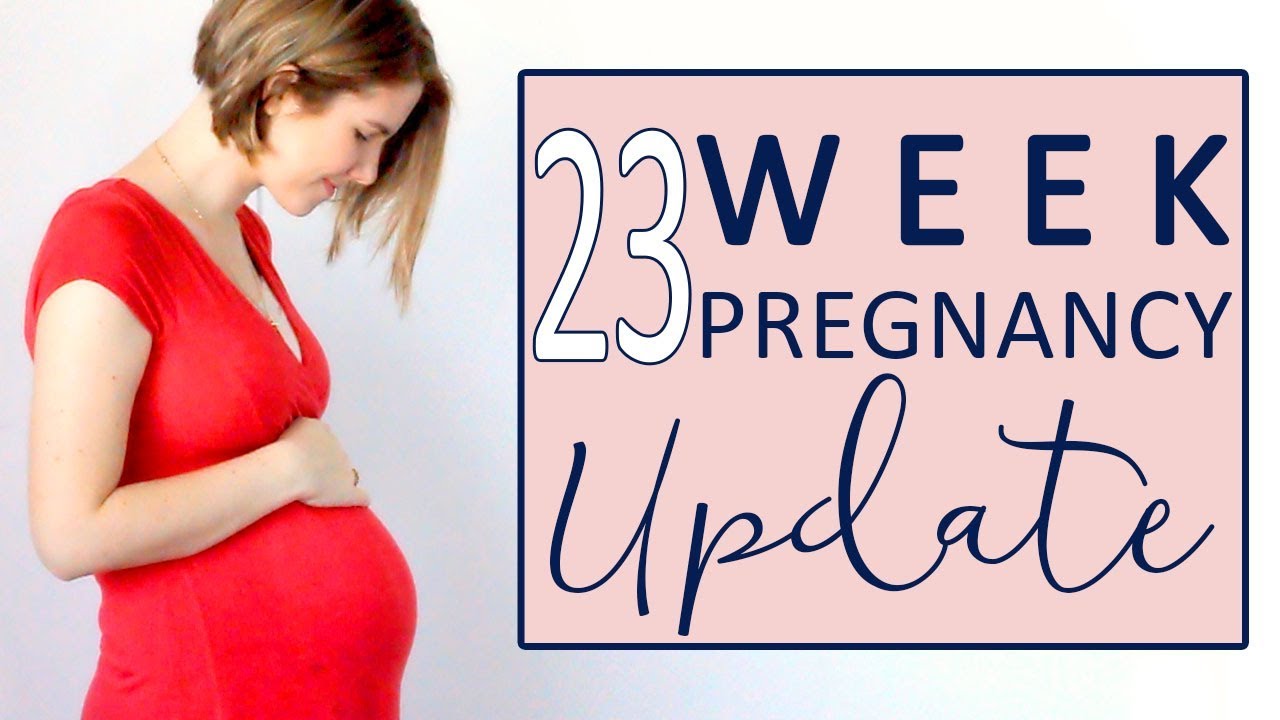 23 WEEK PREGNANCY UPDATE! | BABY #3 - YouTube