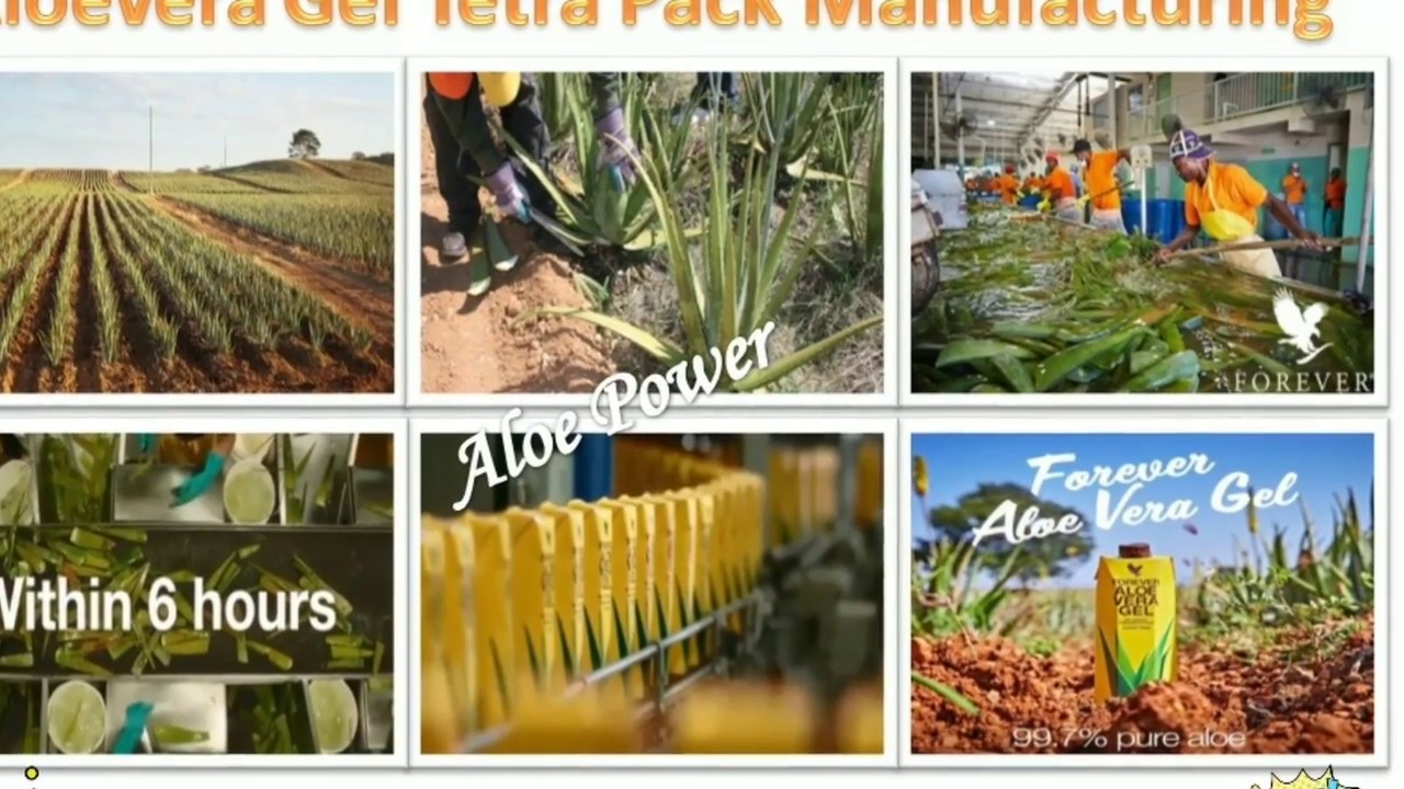 Manufacturing process Aloe Vera Tetra Packaging - YouTube