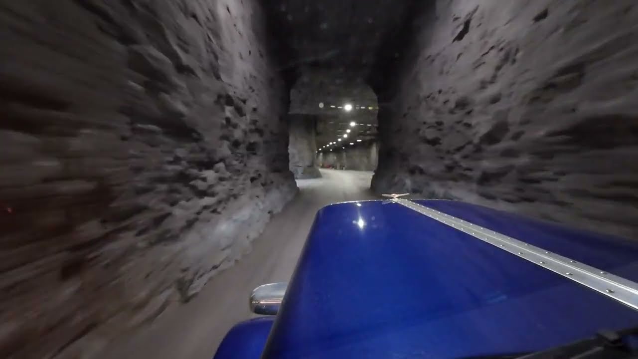 PICKED UP A LOT LIZARD 🦎 - YouTube