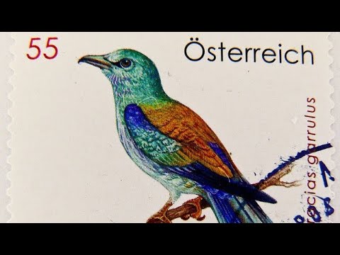 Birds Of Austria #birds - YouTube