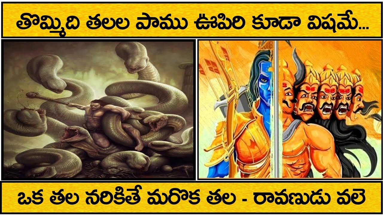 Nine Heads Snake In Greece's | Hercules Vectory | Hydra Snake | Famous ...