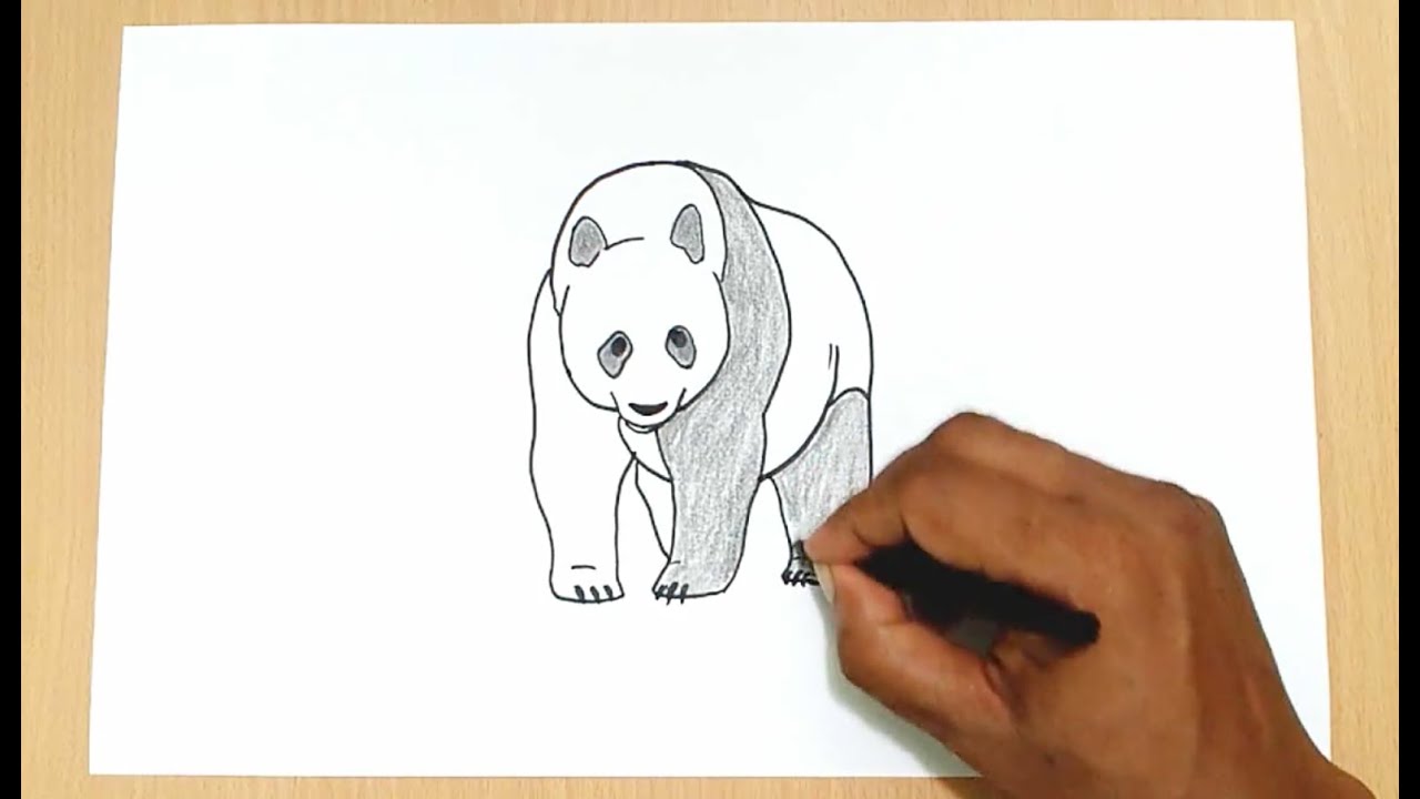 How to Draw a Panda - YouTube