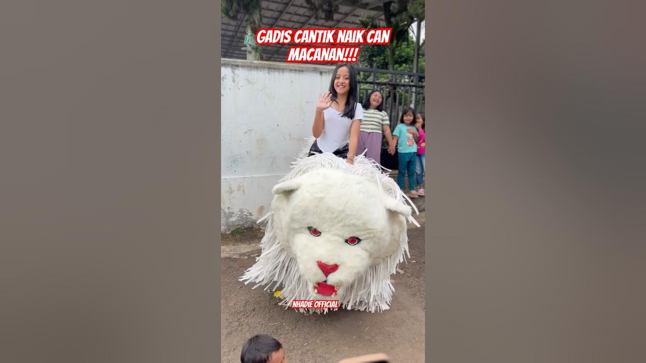 Gadis Cantik Naik Can Macanan!!! Gemes Banget!!! - YouTube