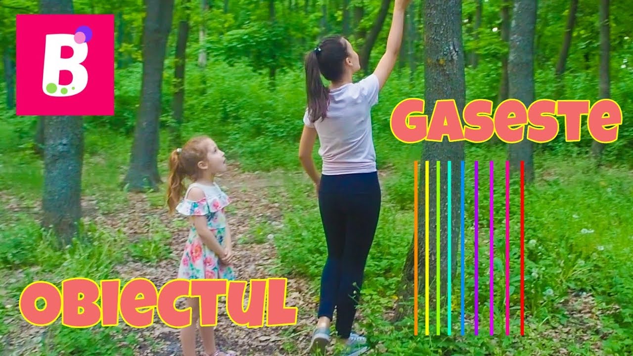 Gaseste obiectele Challenge | Find the objects Challenge | Bianca Kids ...