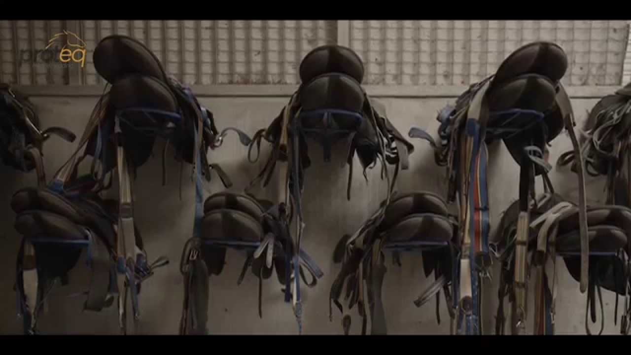 Mark Kavanagh Endorses Proteq Equine Bedding - YouTube
