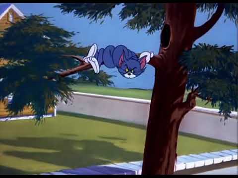 Tom and Jerry | That's My Pup! - Part 3.