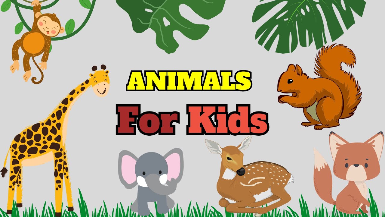 Learning Names Of Animals In English | Learning Animals For Toddlers ...