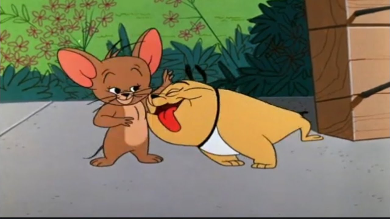 Tom & Jerry | Best of Little Quacker Excerpts | Comedy kids - YouTube