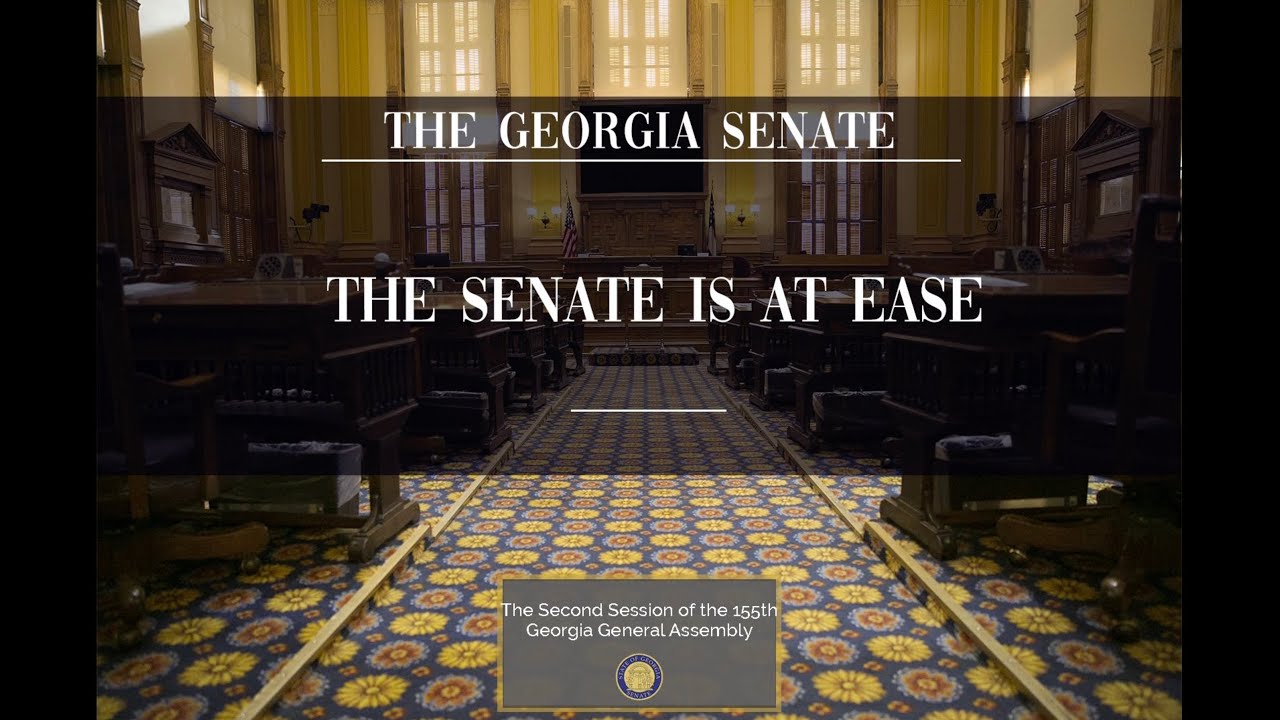 Georgia Senate 2020, Day 38, Morning - YouTube