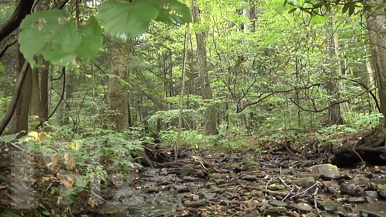 Wix Pix Productions, Inc. "Wix Pix Trade Show" - YouTube