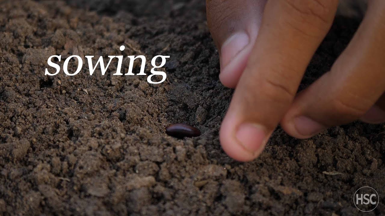 SOWING - 1 Corinthians 3:9 | Hope Springs Church - YouTube