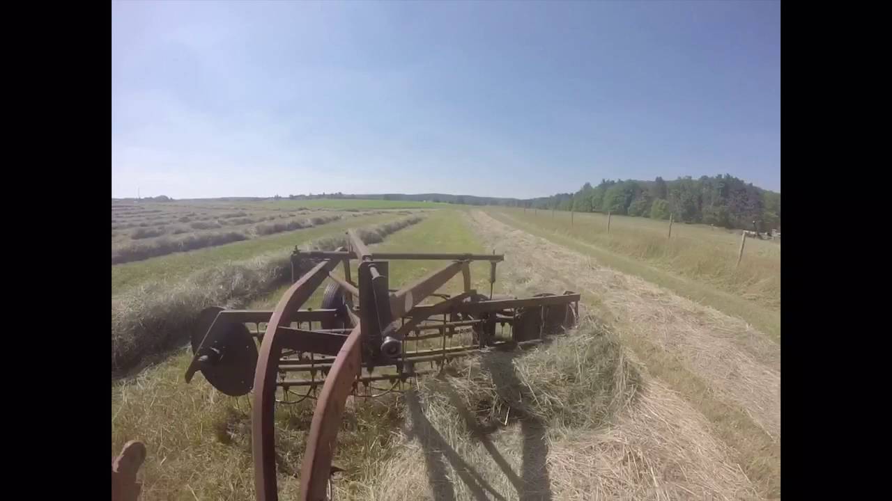 Raking hay - YouTube