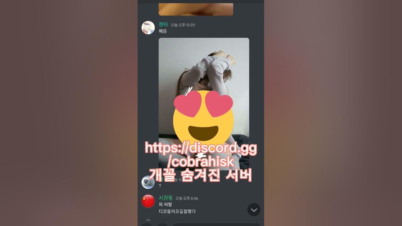디스코드 야동 야짤 서버 Youtube