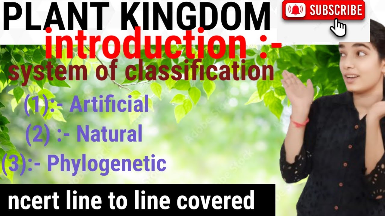 plant kingdom:- Introduction #neet # payal bio studies - YouTube