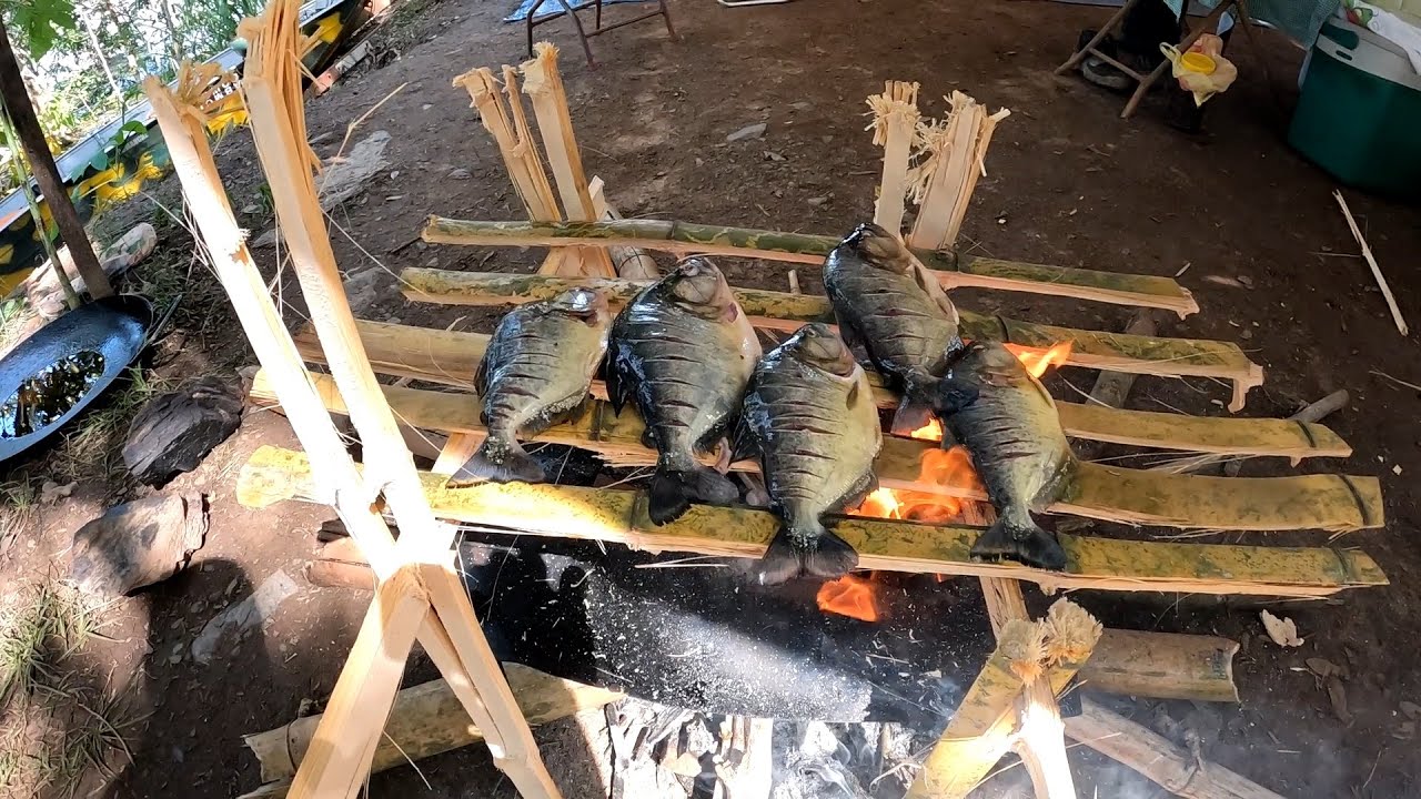PESCARIA DE PIAU NO TABLADO E PREPARAMOS PIRANHA ASSADA PARA O ALMOÇO ...