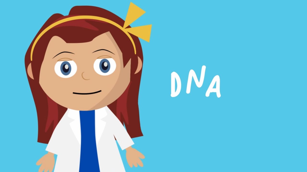 Science for kids - what is DNA? - YouTube