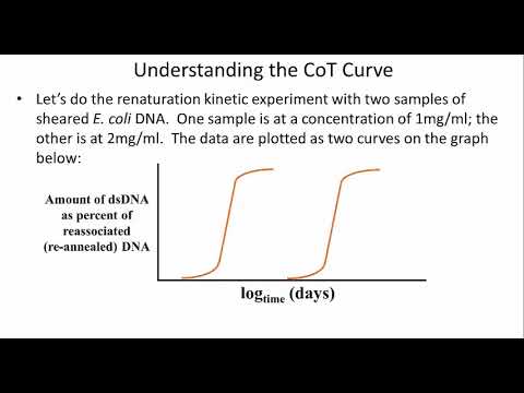 239 CoT Curves and DNA Complexity Explained! - YouTube