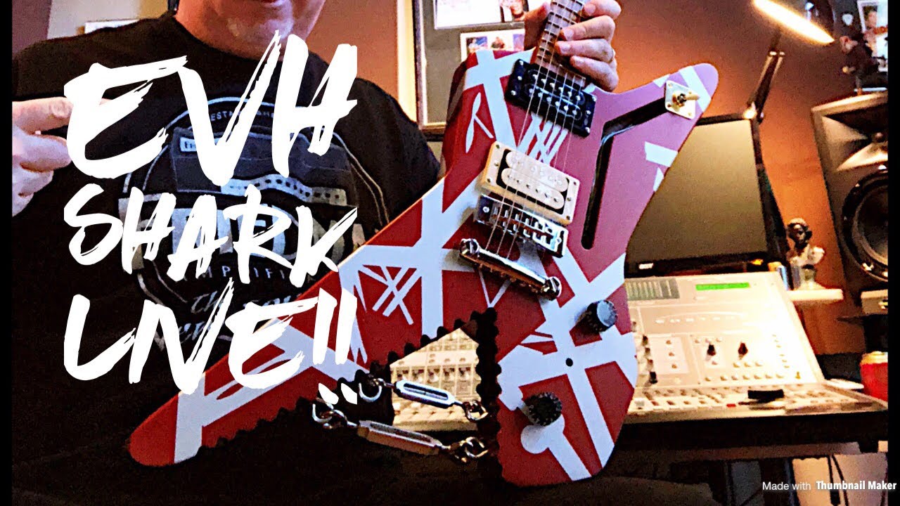 EVH Shark First Live Show!! - YouTube