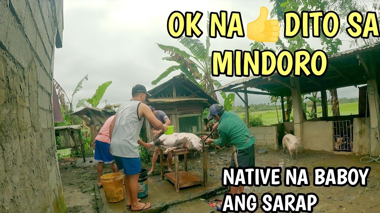 NAGPATAY KAMI NG BABOY NA NATIVE SA MINDORO PAGKATAPOS NG PASKO Vlog #152 - YouTube