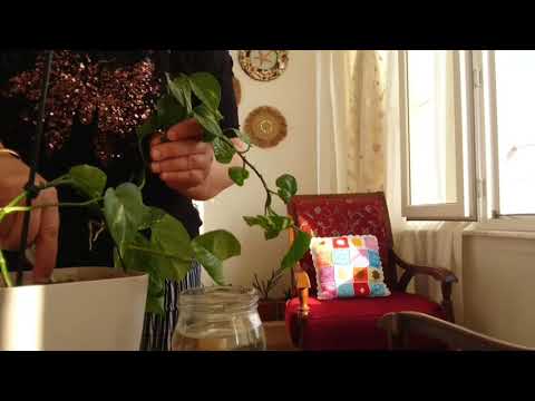 Balkon temizliği ve düzenleme #balkon temizliği ve düzenleme