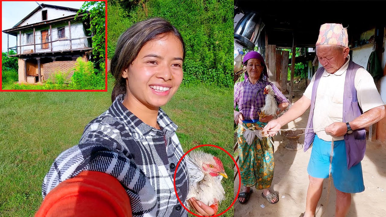 sumnima buying chicken for curry || sumnima rai in the village ...