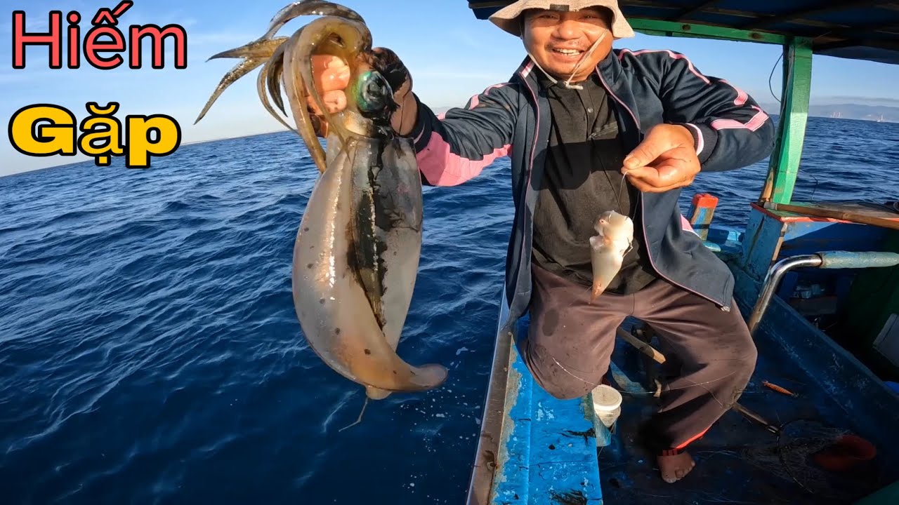 126) Lâu Lắm Rồi, ỘT Mới Câu Được Loại Mực Này??? - YouTube